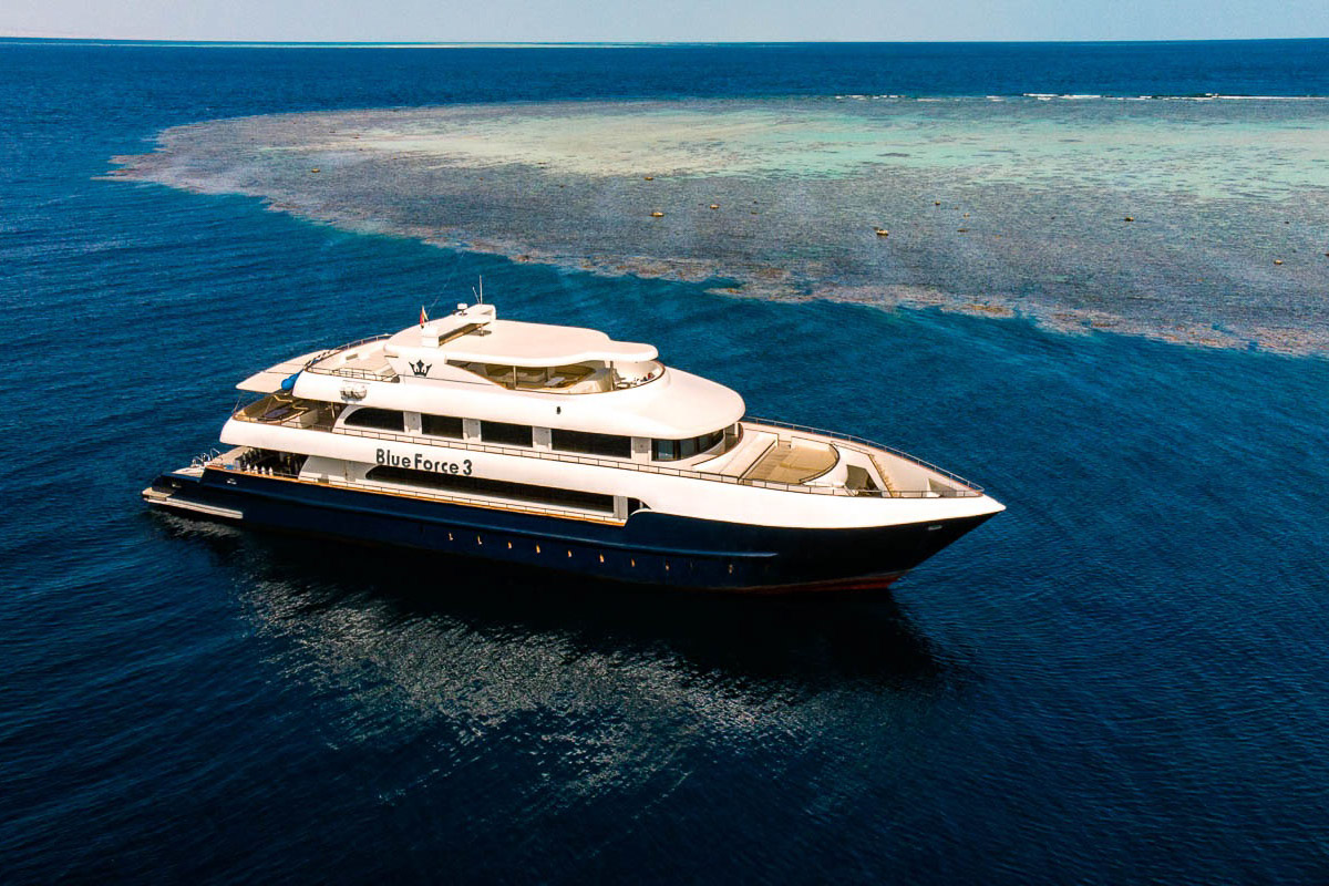 Blue Force III Liveaboard - Apex Ocean Travel Blue Force III Liveaboard ...
